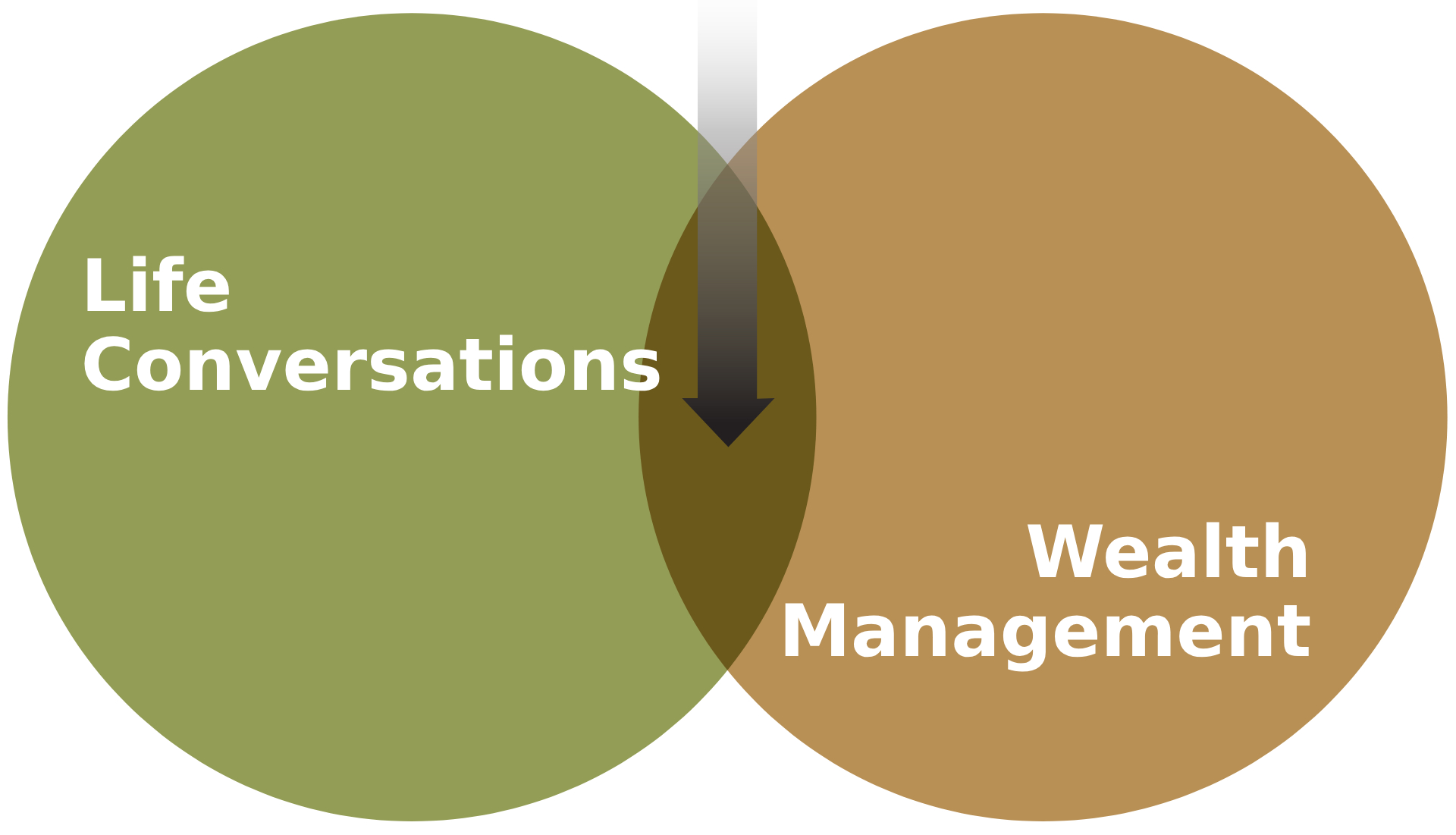 Life-Wealth Planning - Trinity Wealth Advisors